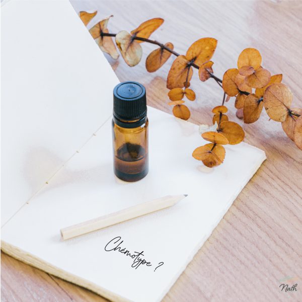 La notion de chémotype - Nathalie Faggianelli